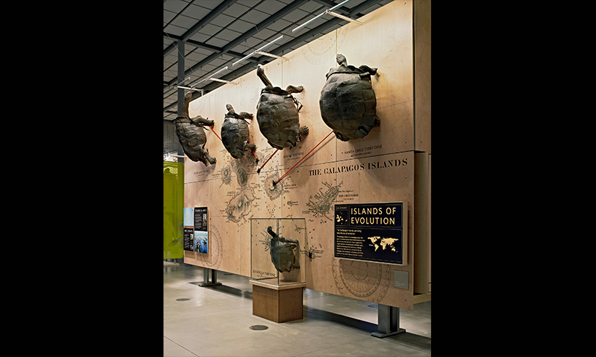 California Academy of Sciences Exhibits - SEGD - Designers of Experiences