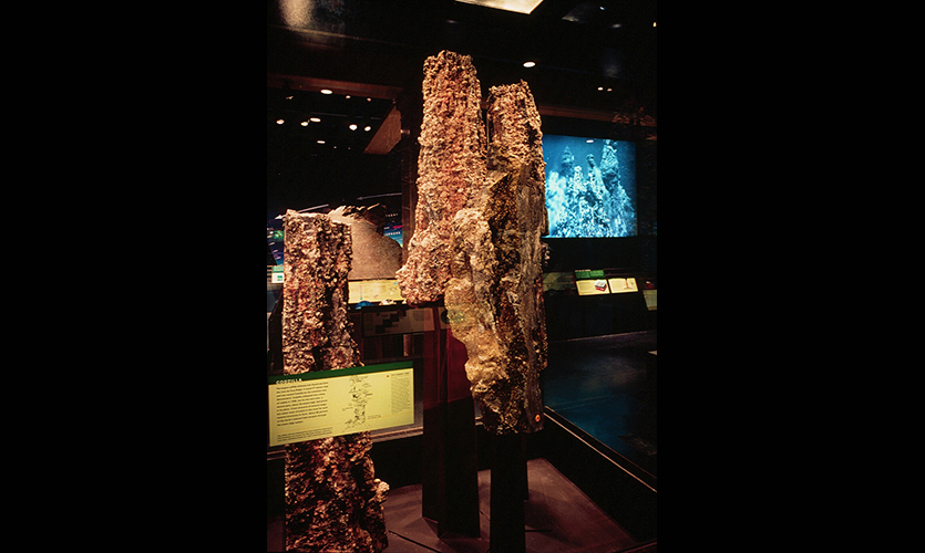 Rose Center for Earth and Space - SEGD - Designers of Experiences