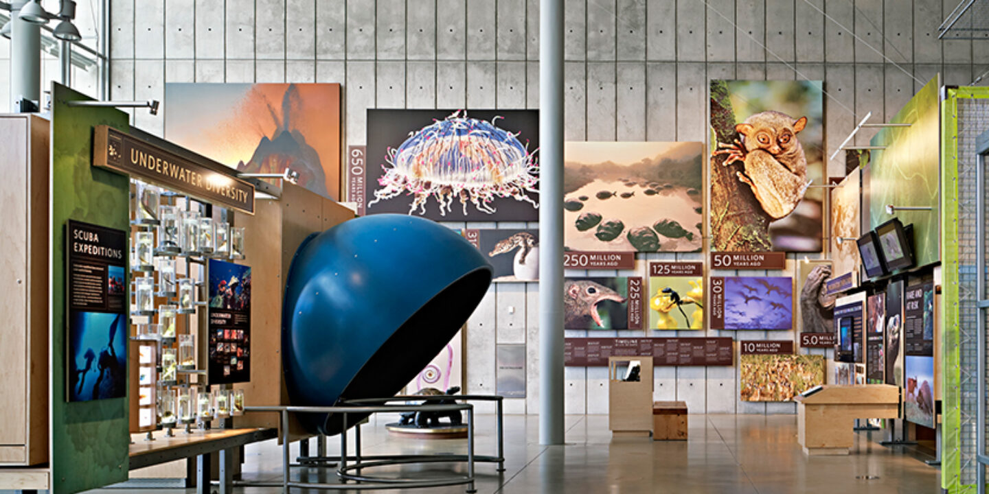 California Academy of Sciences Exhibits - SEGD - Designers of Experiences