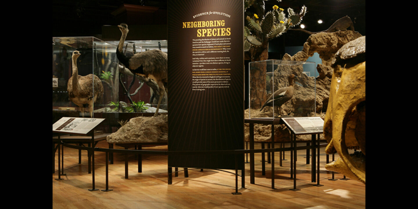 Darwin - SEGD - Designers of Experiences