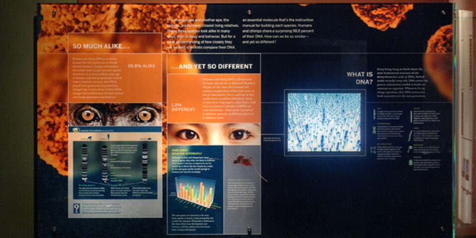 Hall of Human Origins - SEGD - Designers of Experiences