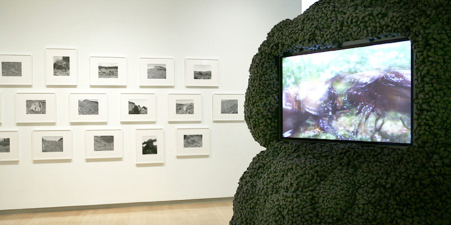 Ecotopia - SEGD - Designers of Experiences