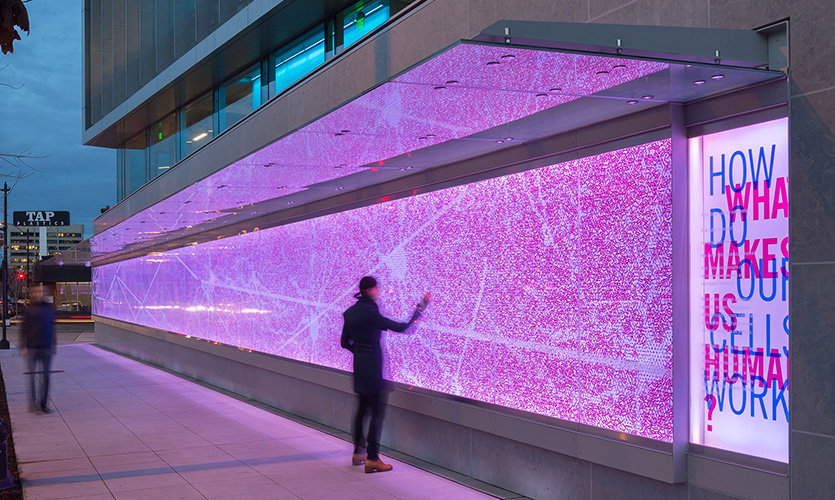 Allen Institute for Brain Science - SEGD - Designers of Experiences