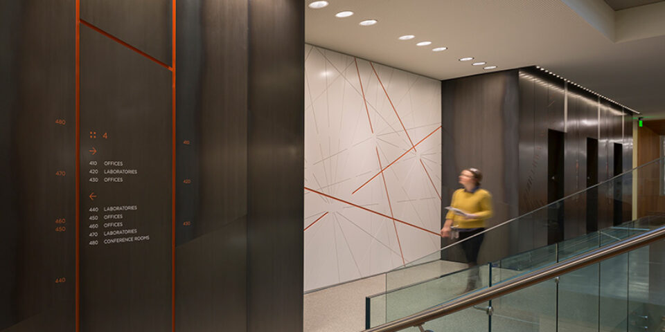 Allen Institute for Brain Science - SEGD - Designers of Experiences