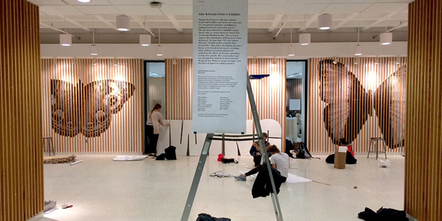 Wing It—The Winged Insect Exhibit - SEGD - Designers of Experiences