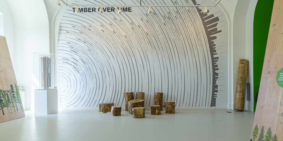 Timber City - SEGD - Designers of Experiences