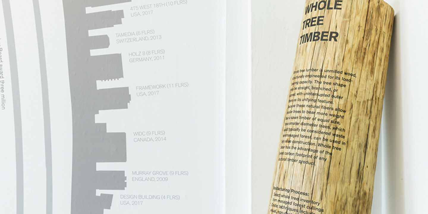 Timber City - SEGD - Designers of Experiences