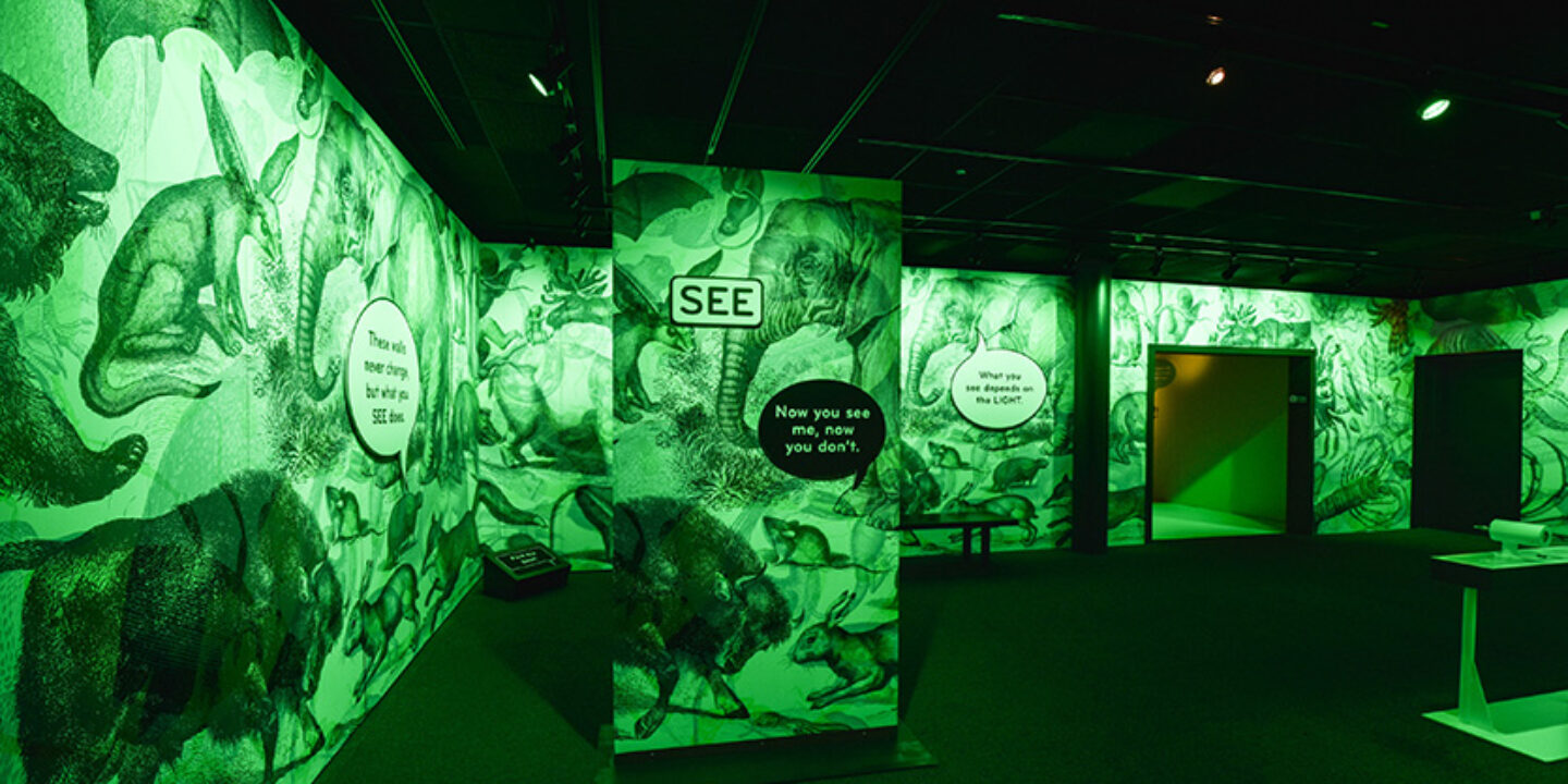 Our Senses: An Immersive Experience - SEGD - Designers of Experiences