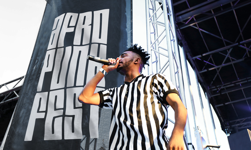 AFROPUNK Festival Rebrand - SEGD - Designers of Experiences