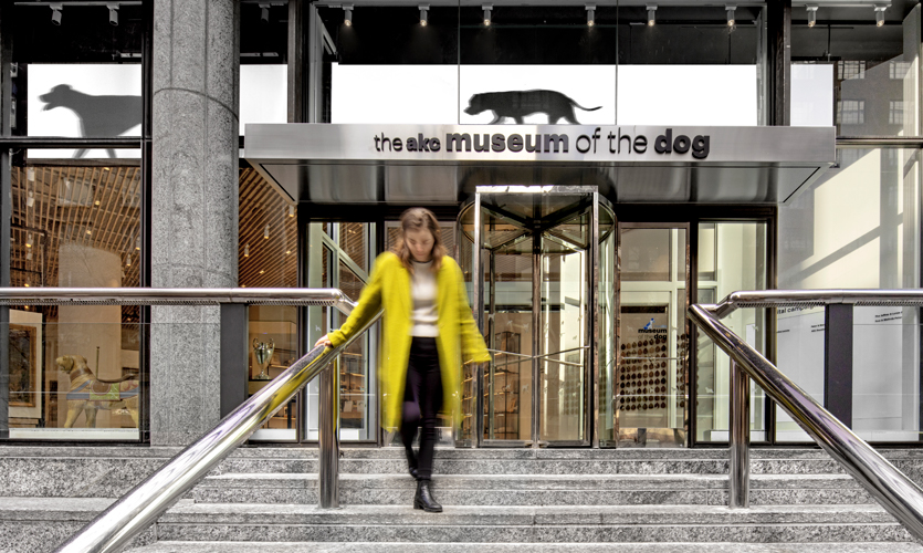 AKC Museum of the Dog - SEGD - Designers of Experiences