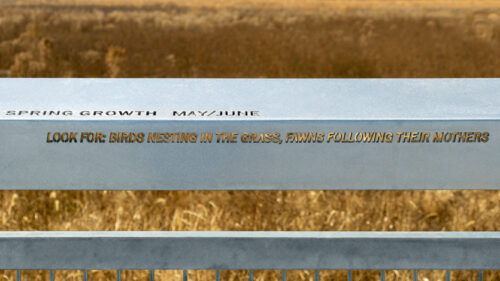 Cook County Forest Preserves Interpretive Trails - SEGD - Designers of ...