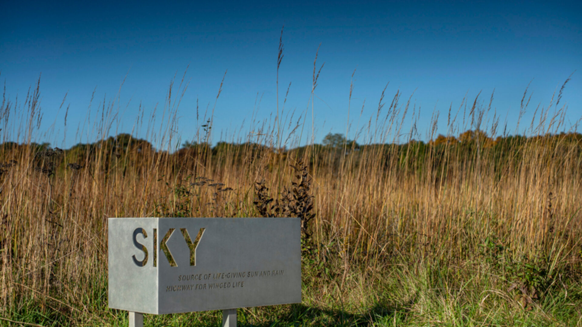 Cook County Forest Preserves Interpretive Trails - SEGD - Designers of ...