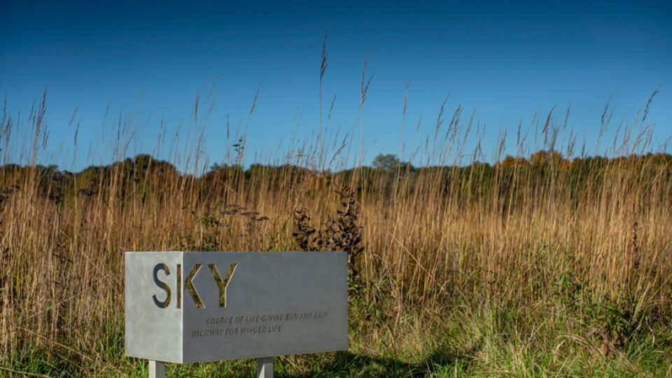 Cook County Forest Preserves Interpretive Trails - SEGD - Designers of ...