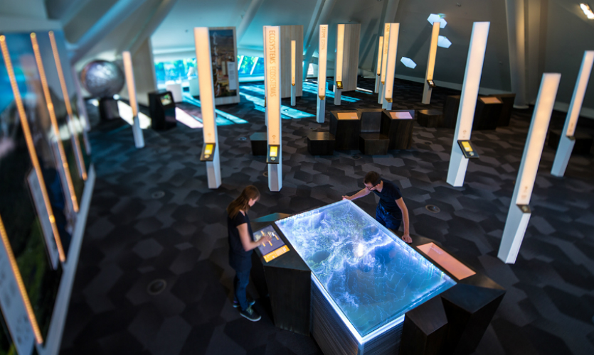 Learning to See - SEGD - Designers of Experiences