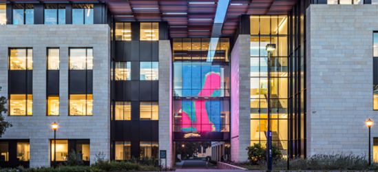 Science, Meet Storytelling—Stanford's Morphogenesis - SEGD - Designers ...