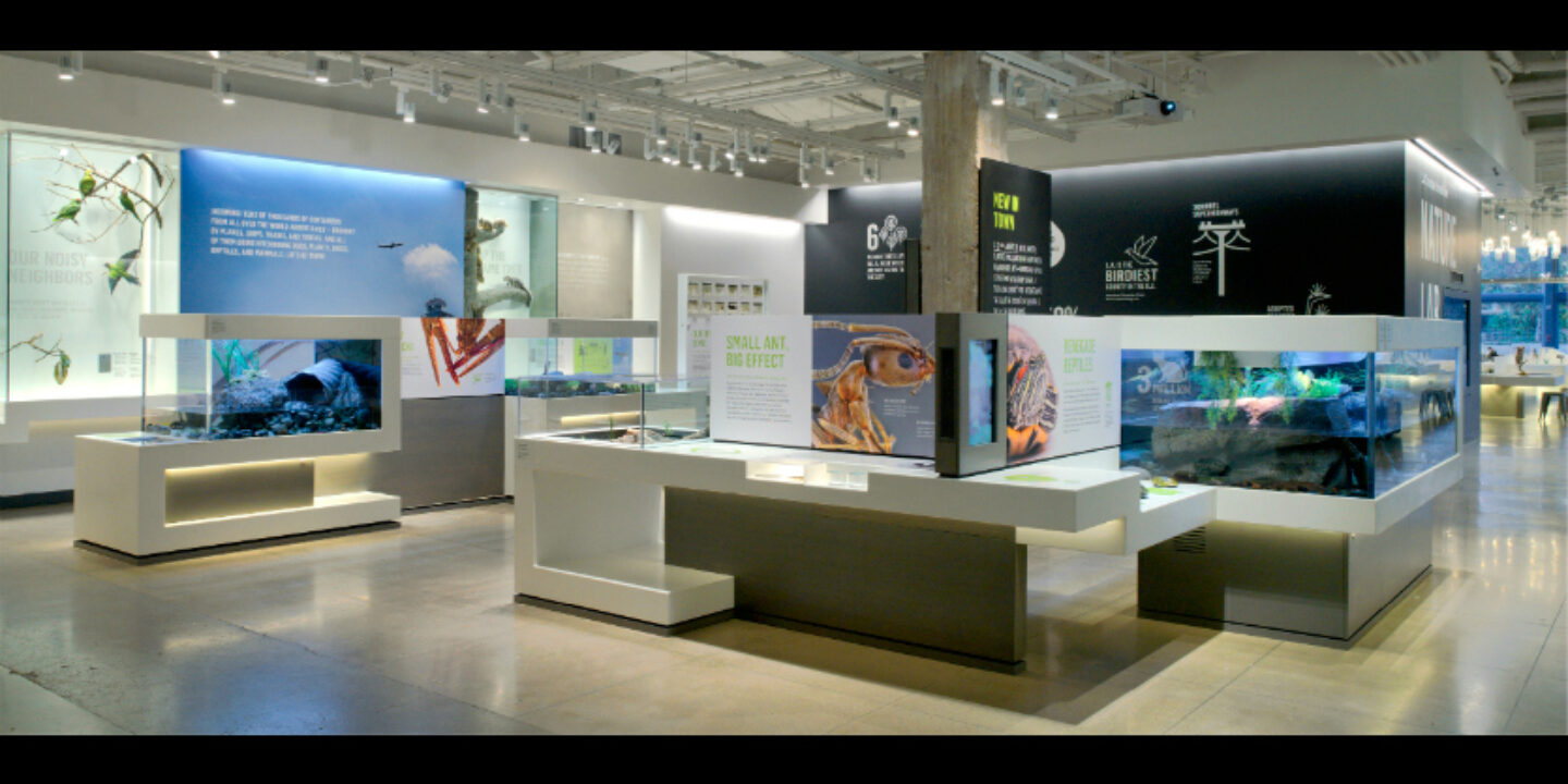 Nature Lab Exhibit - SEGD - Designers of Experiences