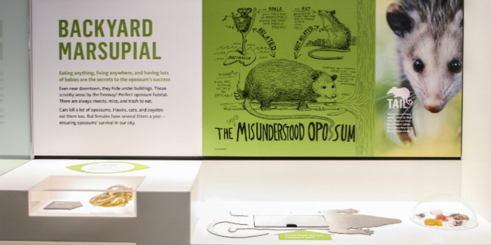 Nature Lab Exhibit - SEGD - Designers of Experiences