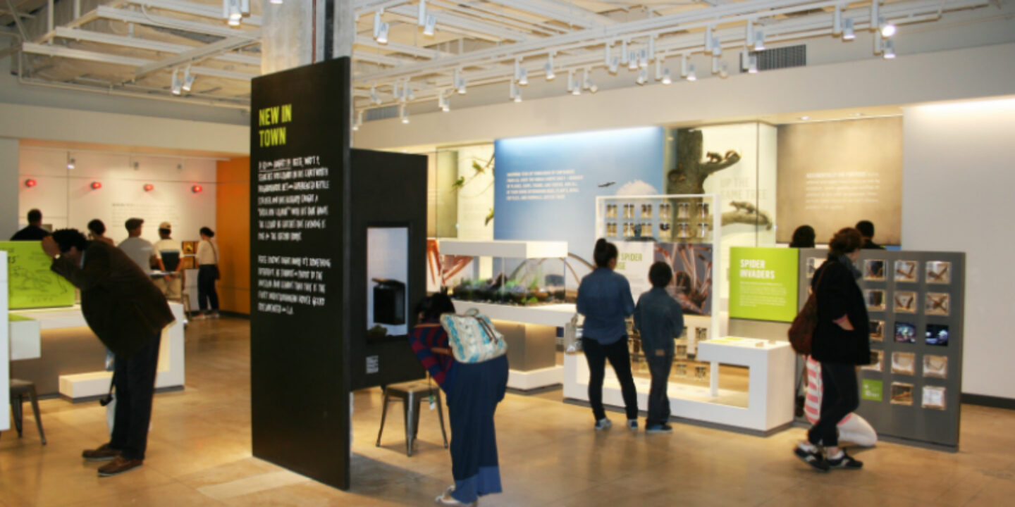 Nature Lab Exhibit - SEGD - Designers of Experiences