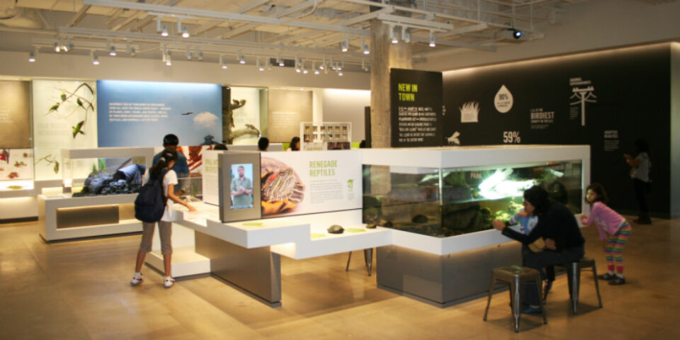 Nature Lab Exhibit - SEGD - Designers of Experiences