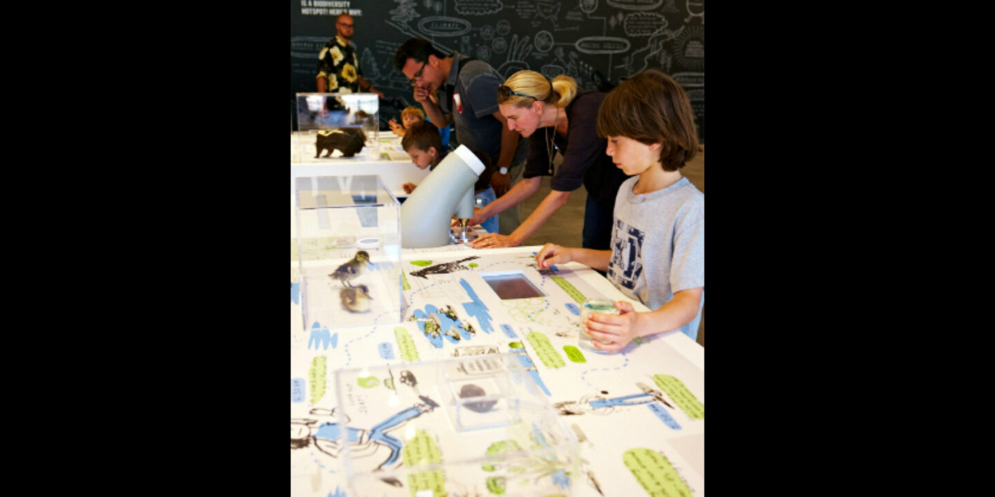 Nature Lab Exhibit - SEGD - Designers of Experiences