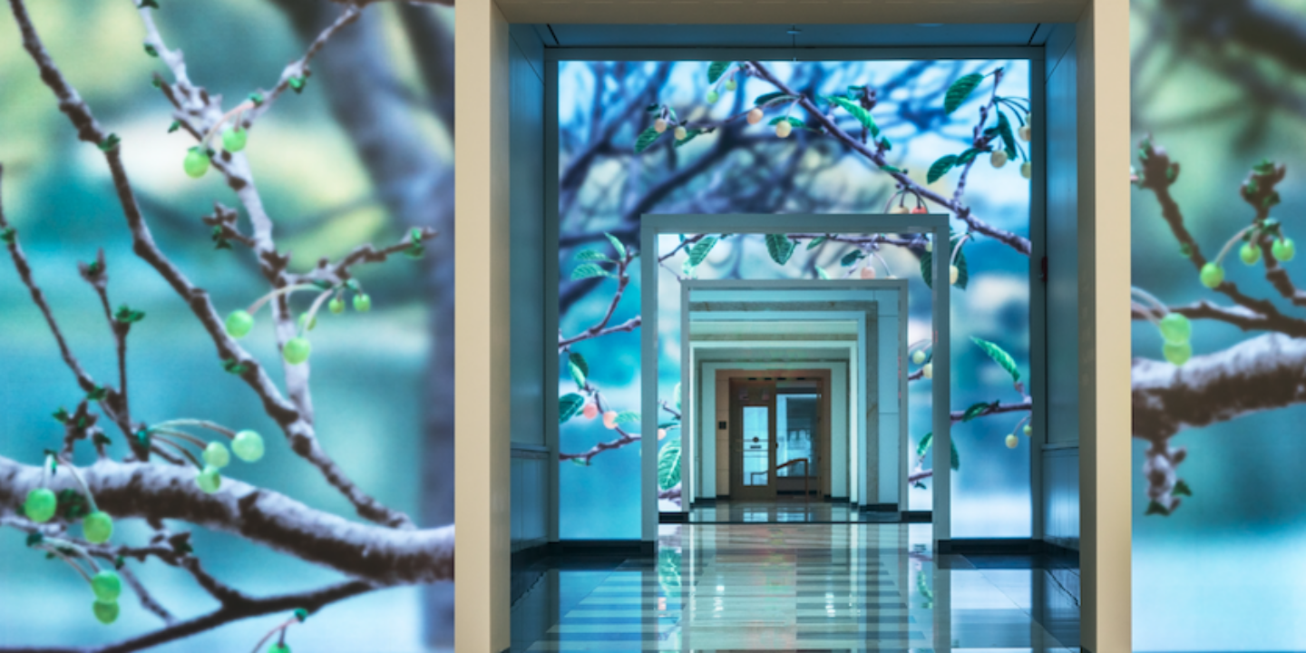 20 Questions with Andrew Lazarow—Creativity and Ethics in a Touchless ...