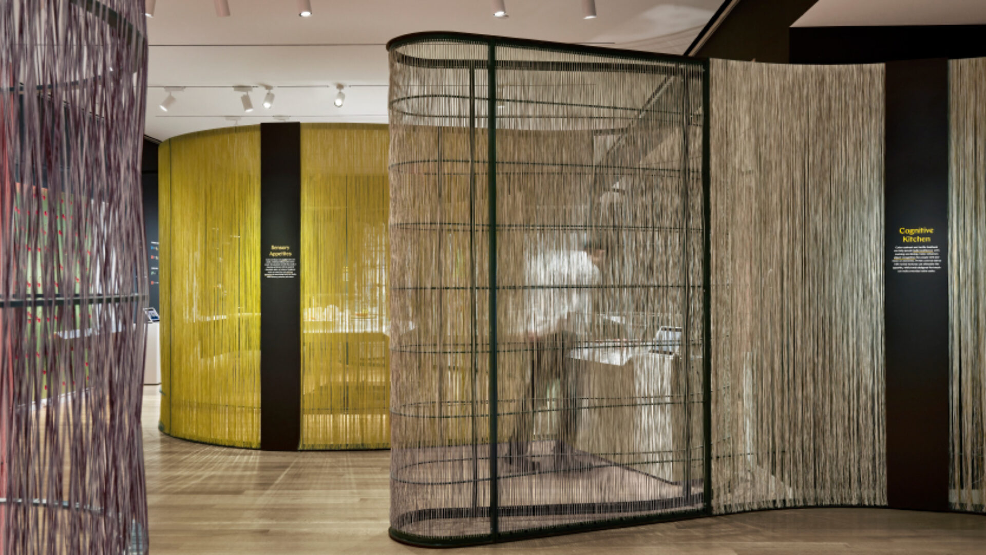 The Senses—Design Beyond Vision - SEGD - Designers of Experiences