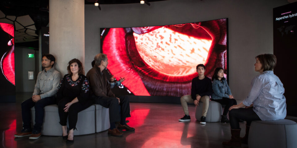 Sprouting Subtext—Understory at Amazon Spheres - SEGD - Designers of ...