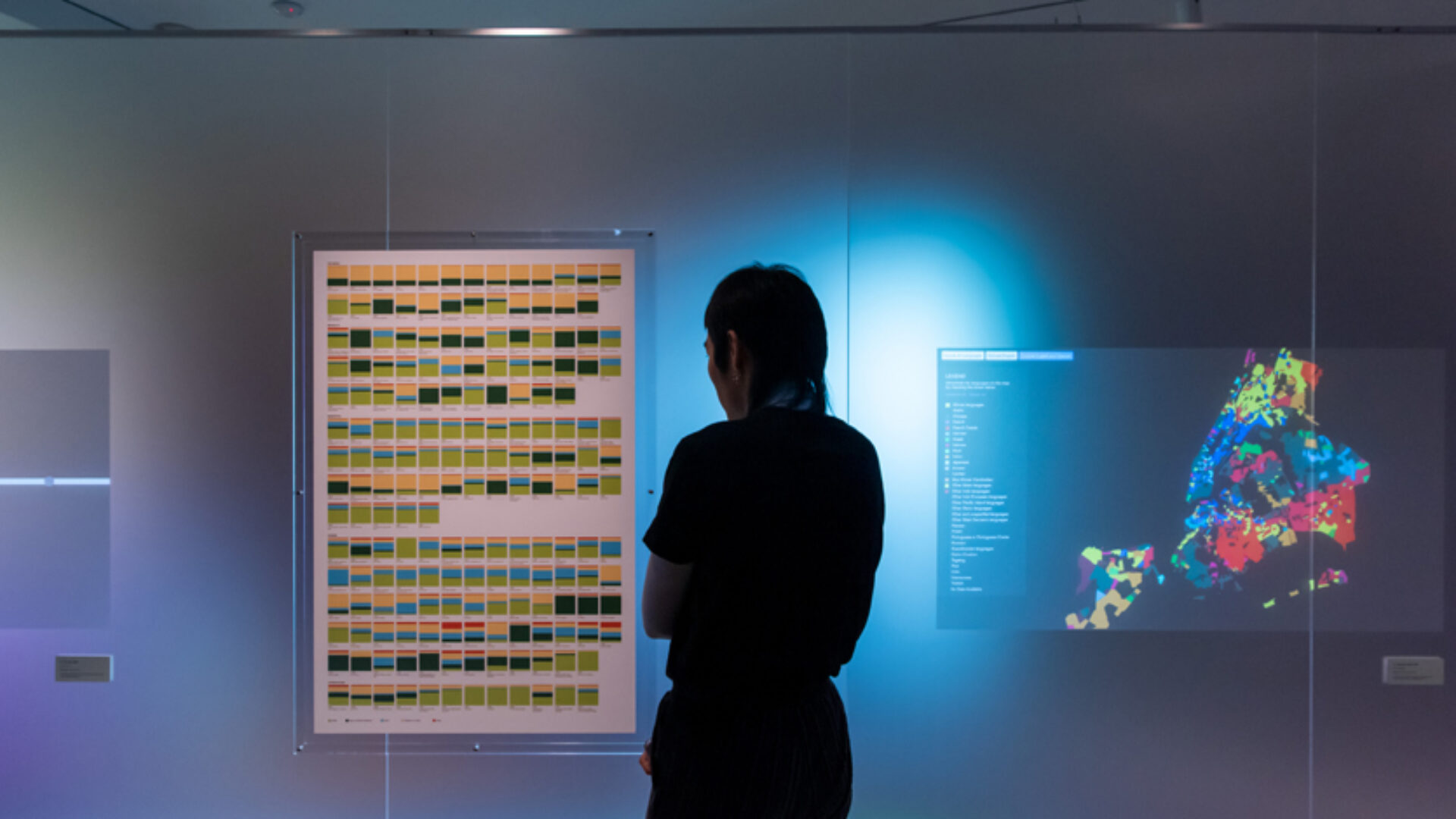 Who We Are: Visualizing NYC by the Numbers - SEGD - Designers of ...