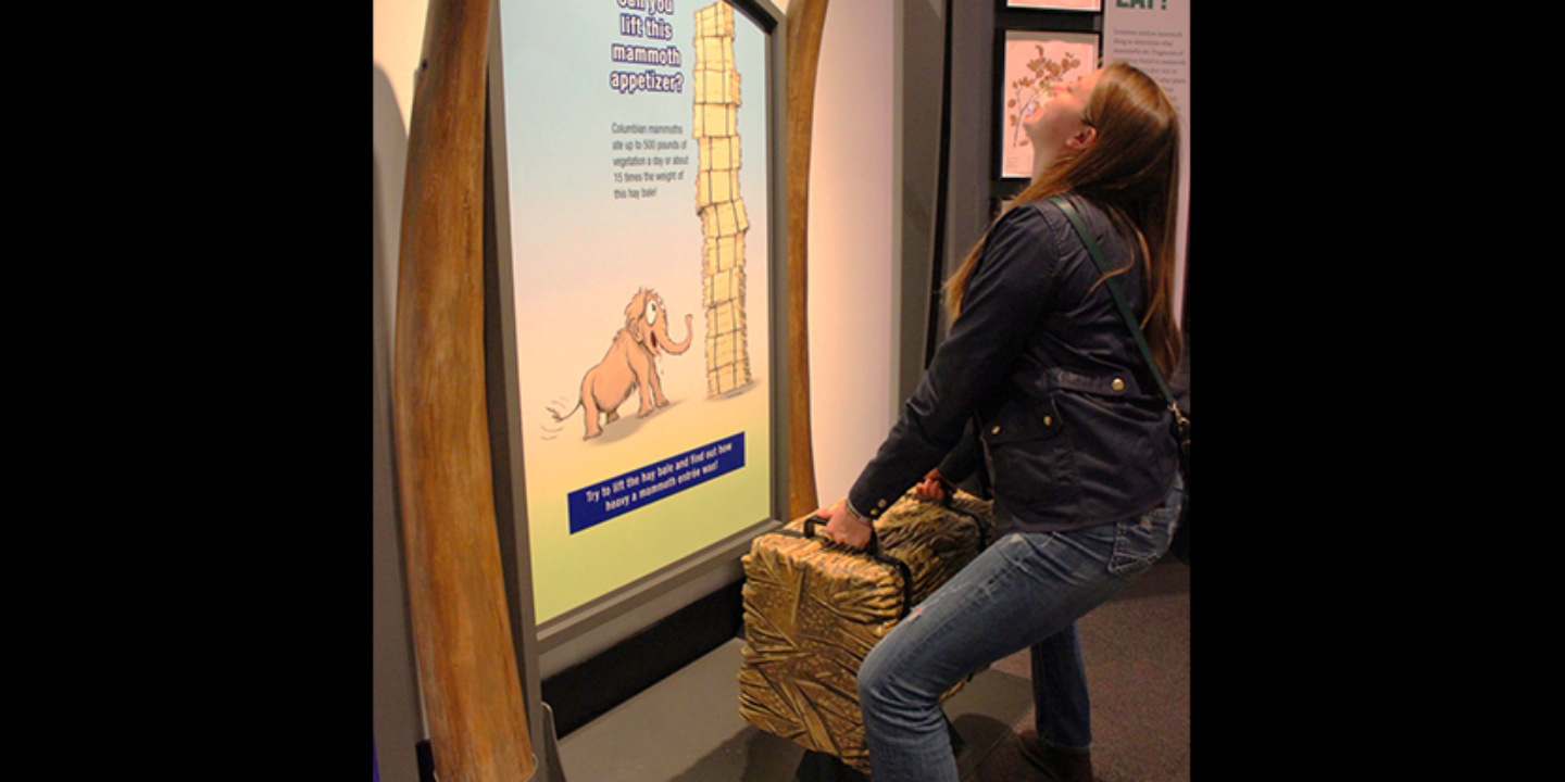 Museums as Experiential Learning Labs - SEGD - Designers of Experiences