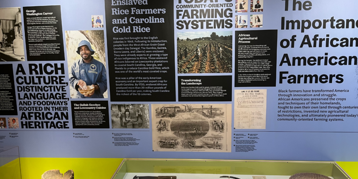 Making the Nation’s Table: Celebrating Black American Food ...