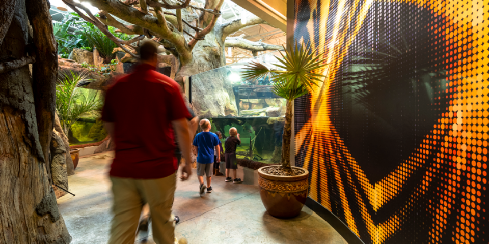 Zoo Knoxville: Amphibian and Reptile Conservation Campus - SEGD ...