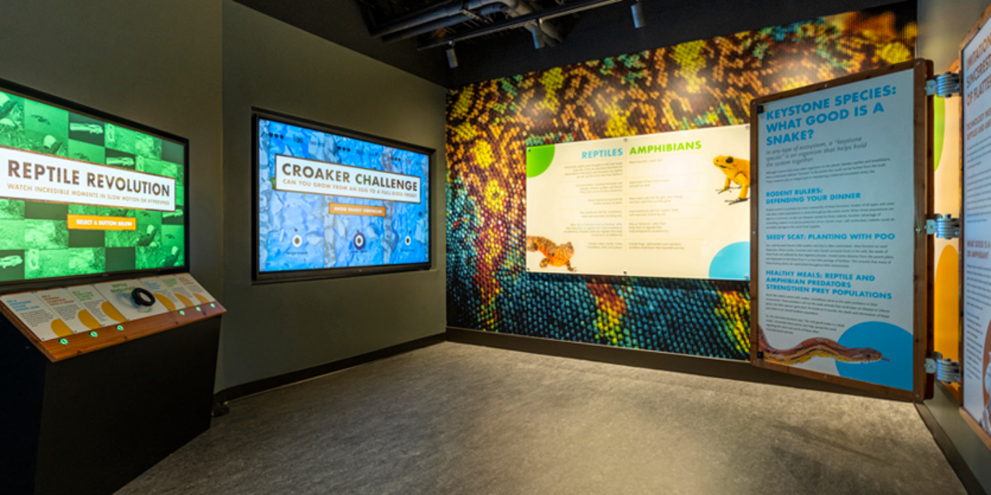Zoo Knoxville: Amphibian and Reptile Conservation Campus - SEGD ...