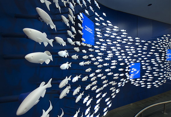 Sitara Systems To Refresh Hospital’s Zebrafish Display With NFC ...
