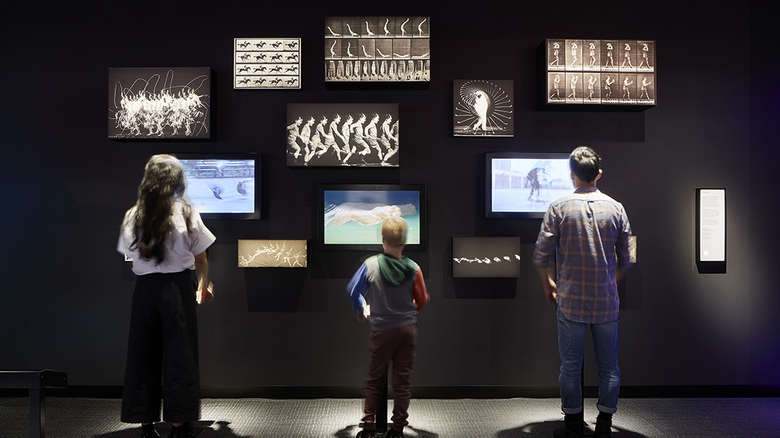 The Story of the Moving Image – Year-Round Centrepiece Exhibition ...