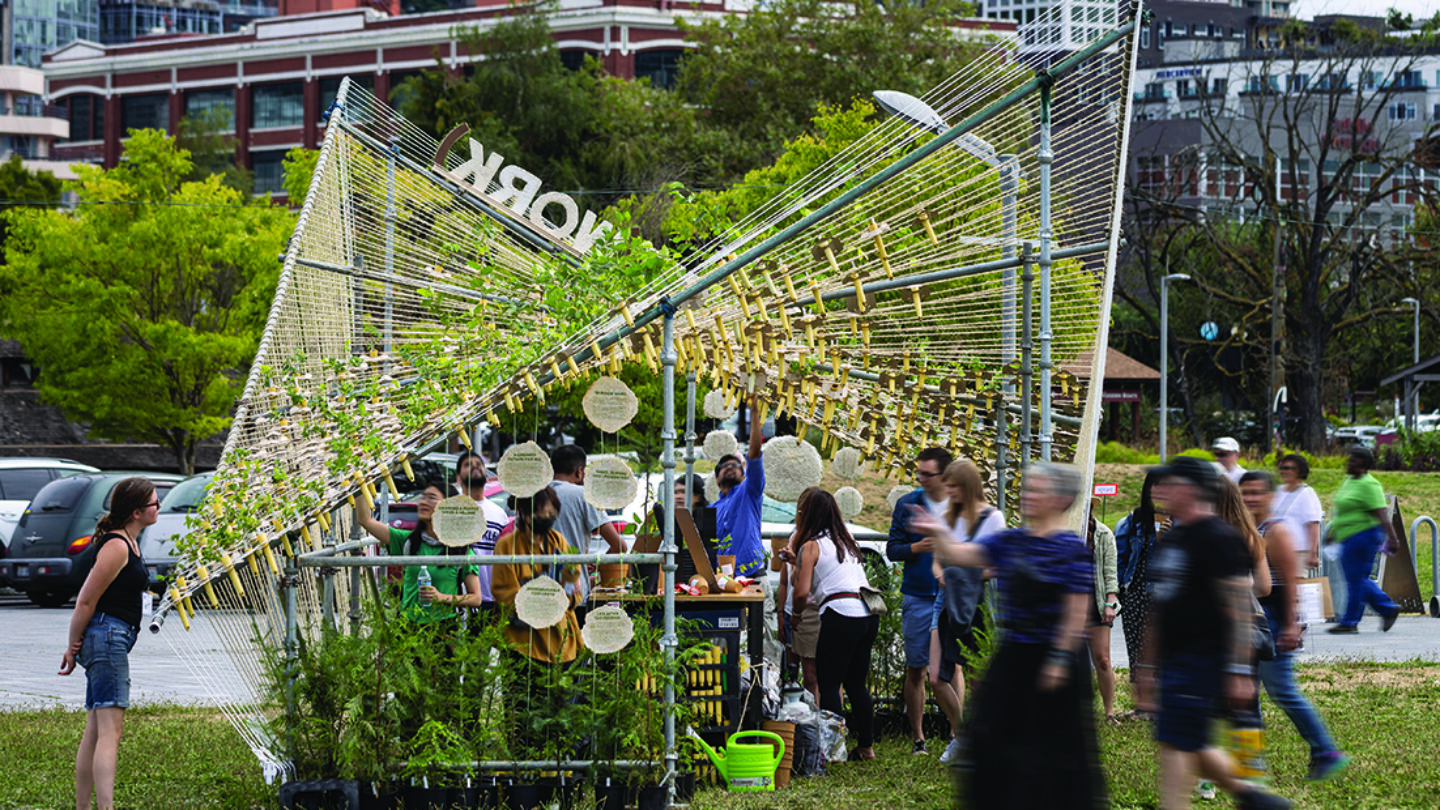 Forest Net(work) - SEGD - Designers of Experiences